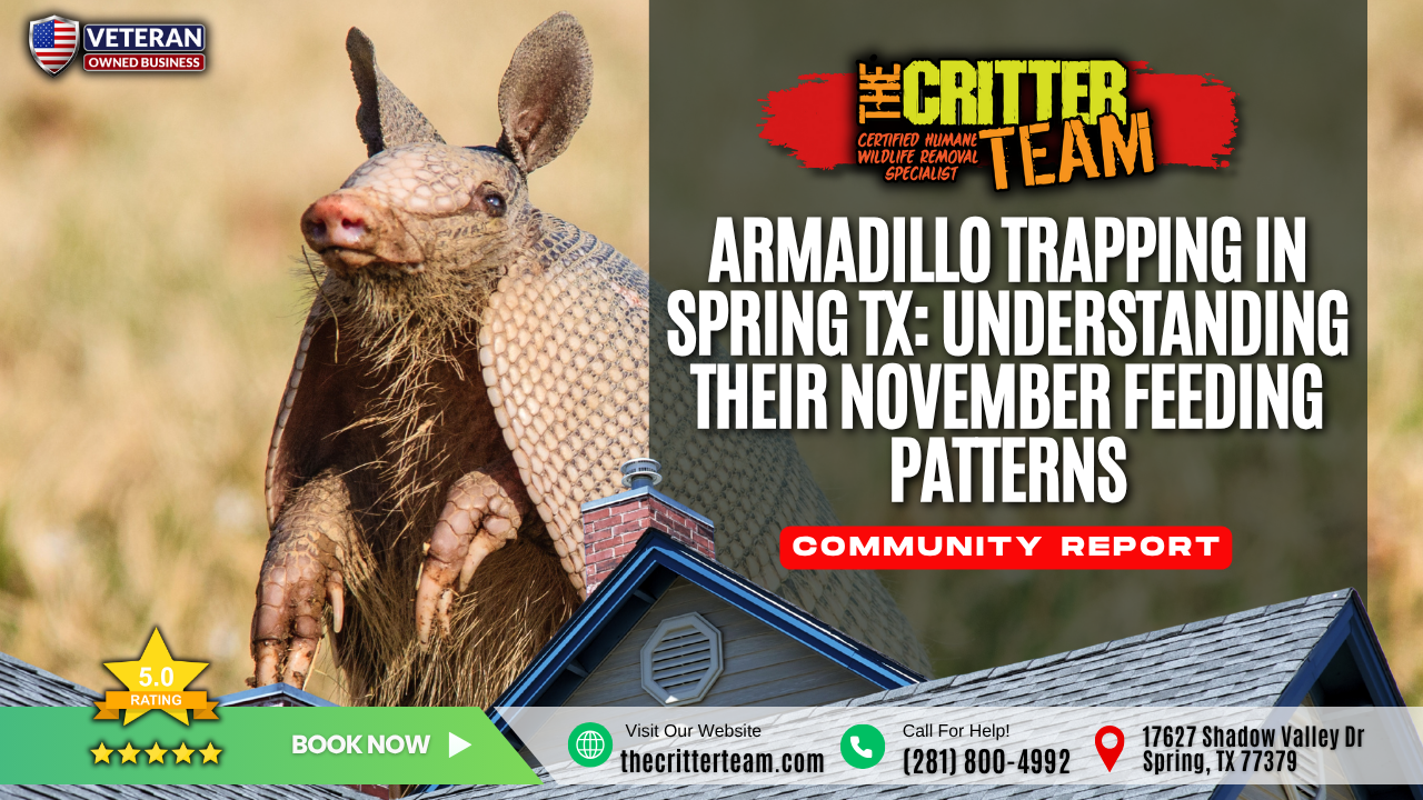 Armadillo Trapping in Spring TX: Understanding Their November Feeding Patterns | The Critter ...