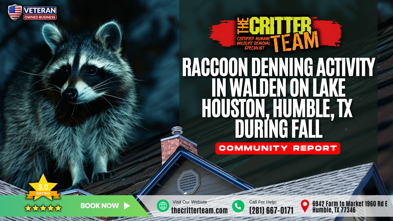 Raccoon Denning Activity in the Walden on Lake Houston Neighborhood of ...