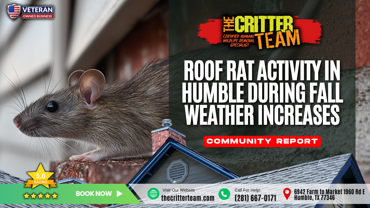 Roof Rat Activity in the City of Humble, TX During Fall Weather ...