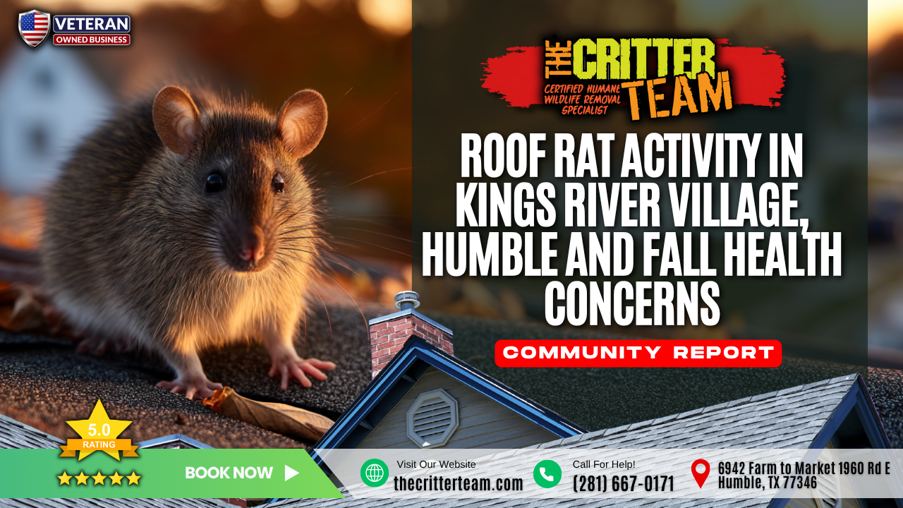 Roof Rat Activity in the Kings River Village Neighborhood of Kingwood ...