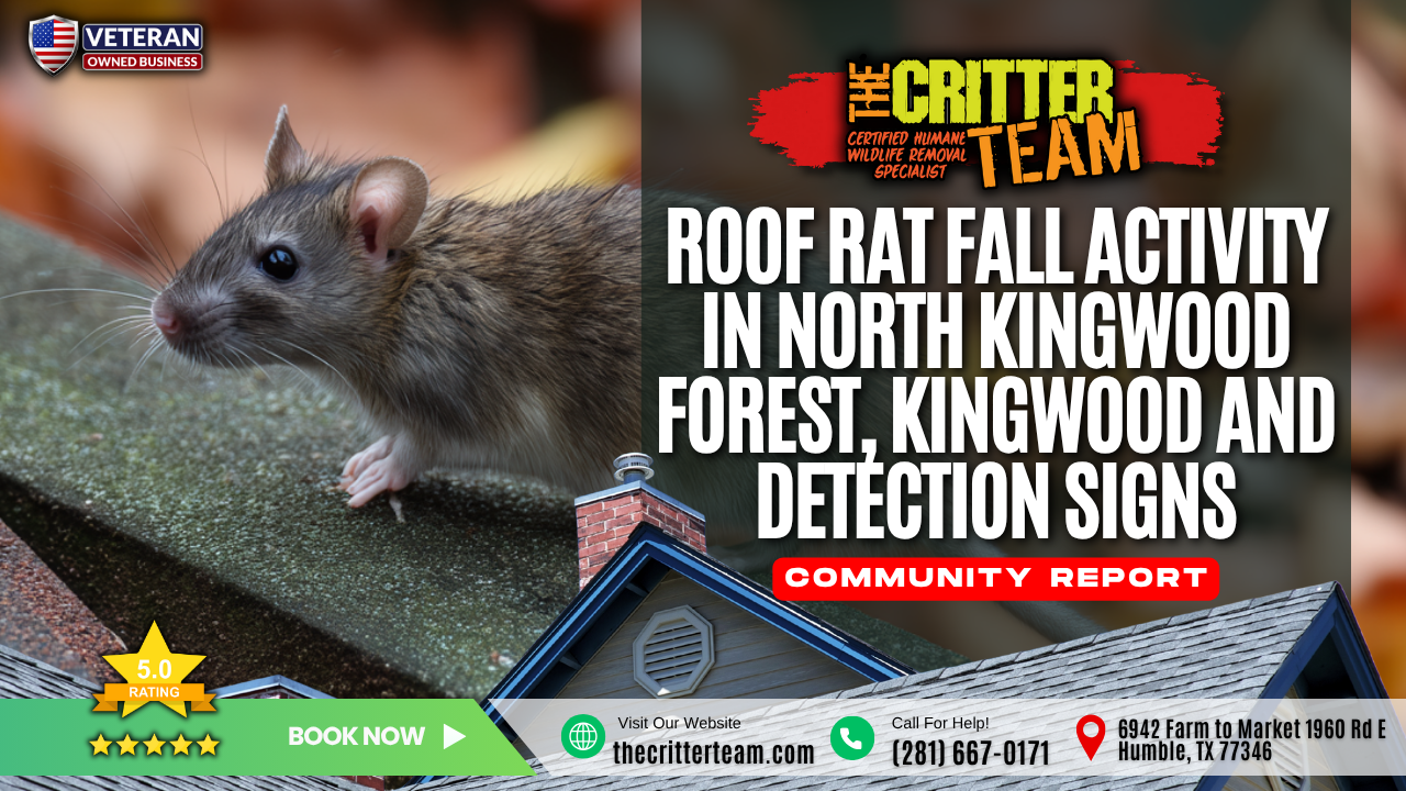 Roof Rat Fall Activity in the North Kingwood Forest Neighborhood of ...