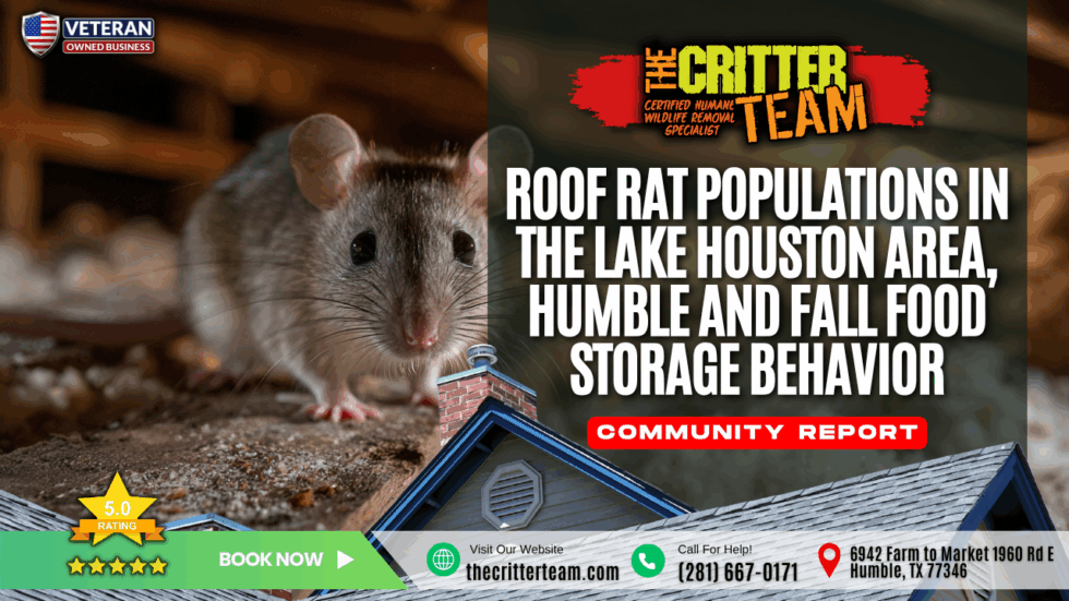 Roof Rat Populations in the Lake Houston Area of Humble, TX and Fall ...