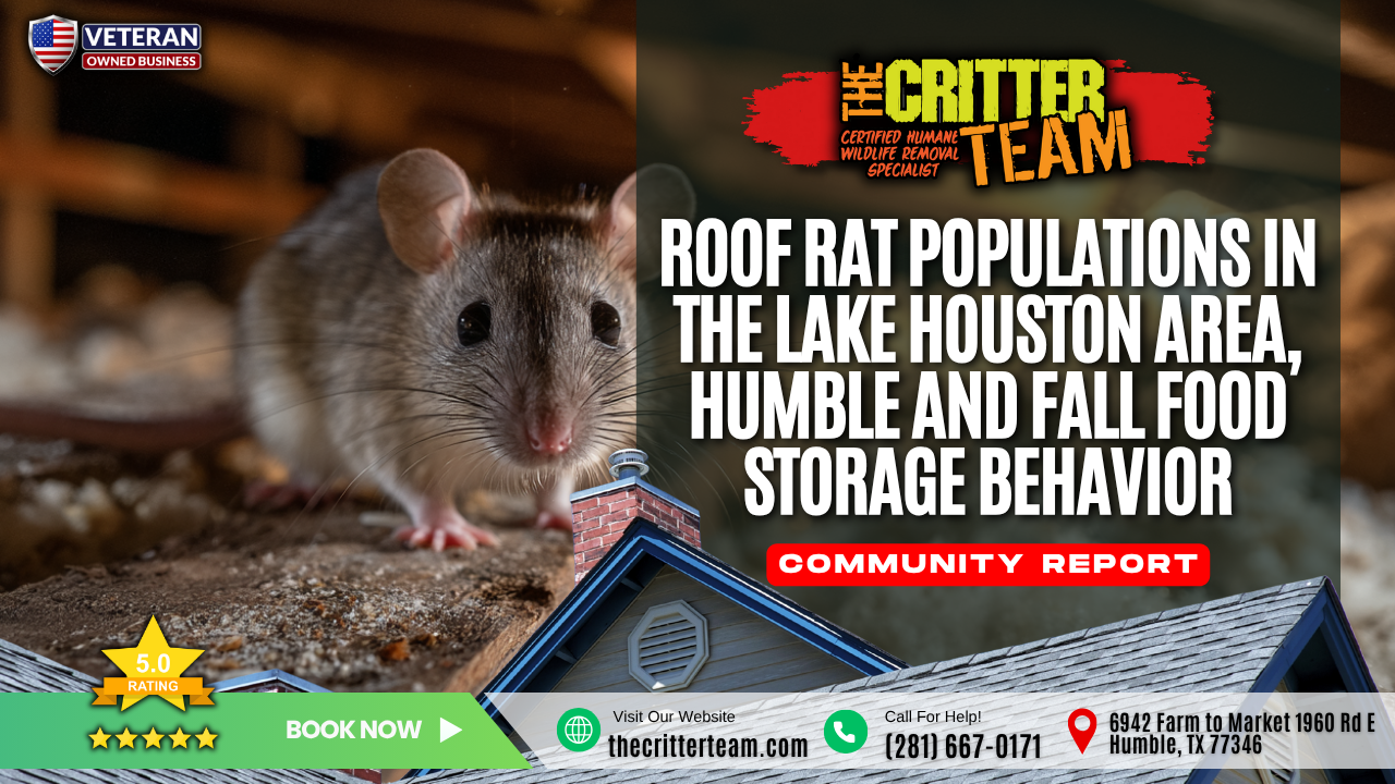 Roof Rat Populations in the Lake Houston Area of Humble, TX and Fall ...