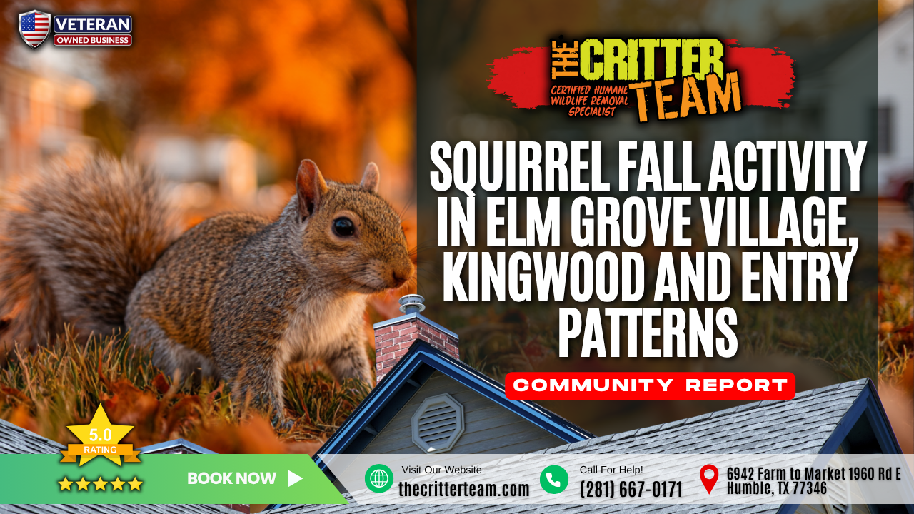 Squirrel Fall Activity in the Elm Grove Village Neighborhood of ...