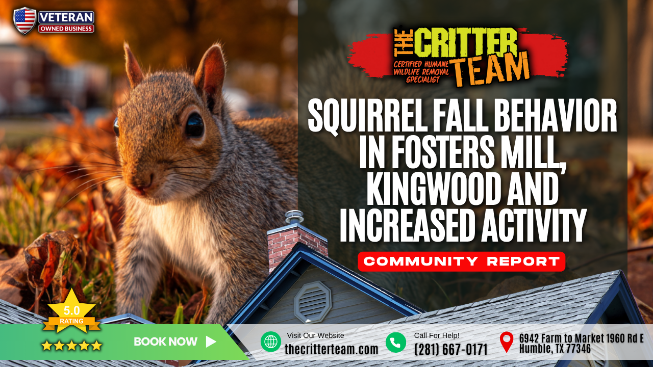 Squirrel Fall Behavior in the Fosters Mill Neighborhood of Kingwood, TX ...